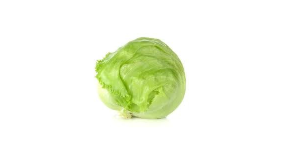 Iceberg lettuce/ salad Bulat