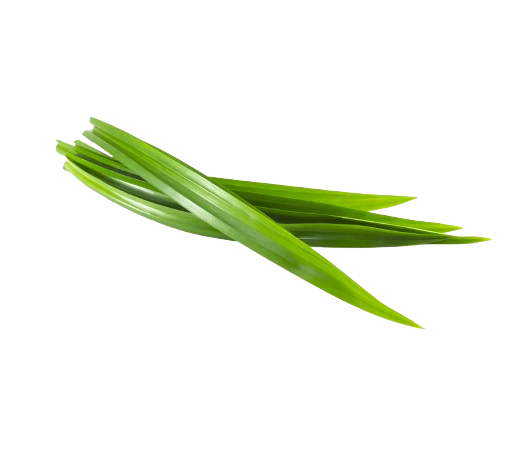 Pandan Leaf .. Daun Pandan ±100g